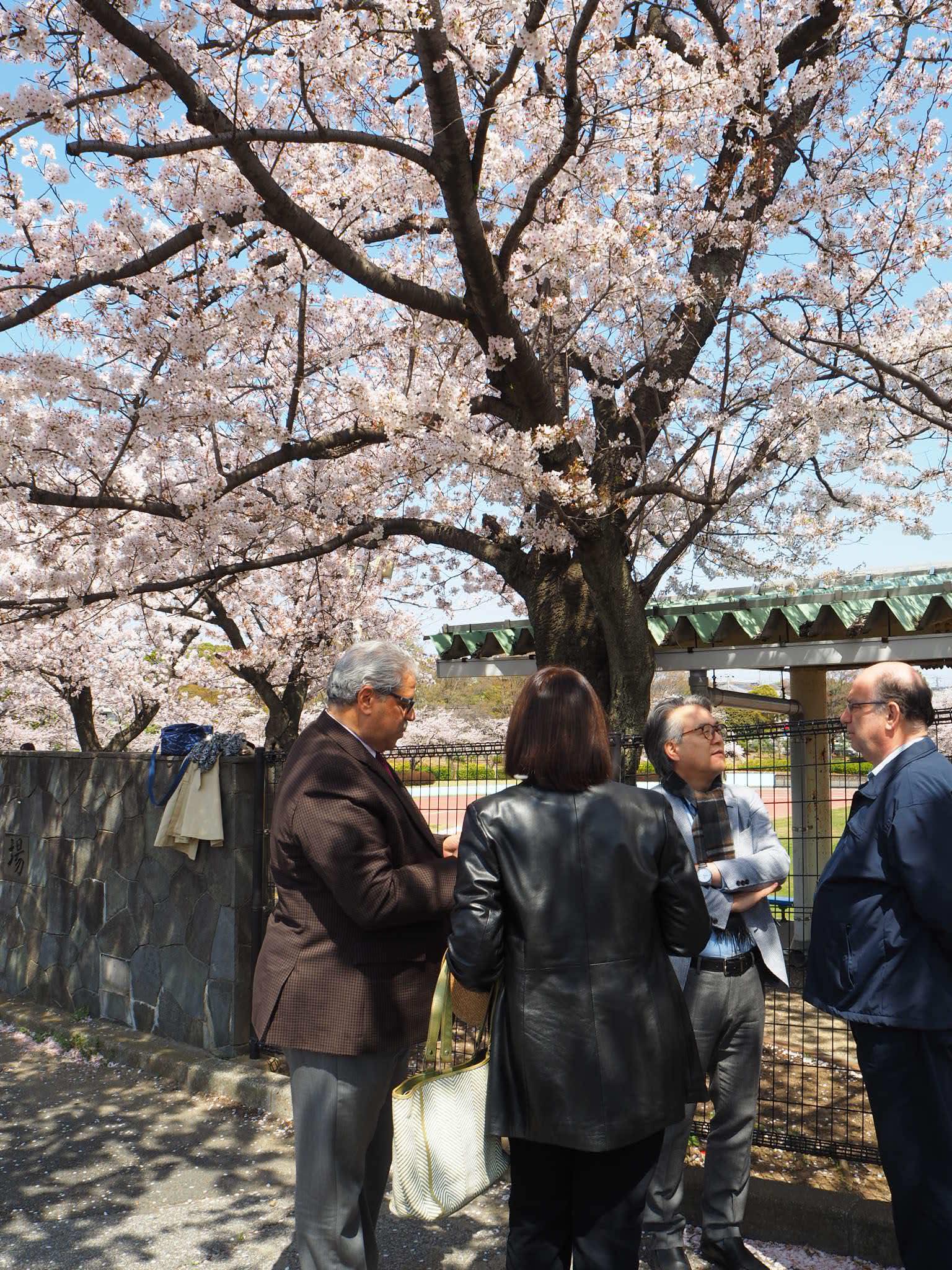 ラテンアメリカ・カリブ海グループの松戸訪問に同行 (Acompañando con la visita de GRULAC a la ...